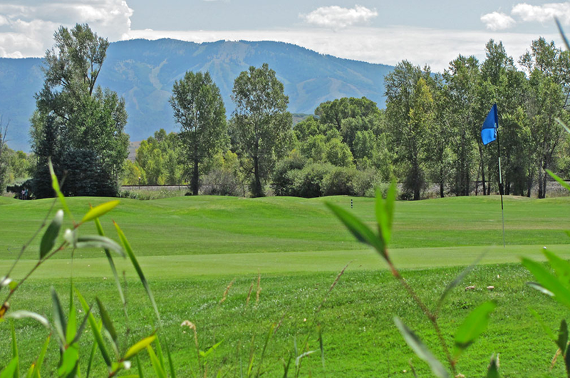 Home - Steamboat Golf Club
