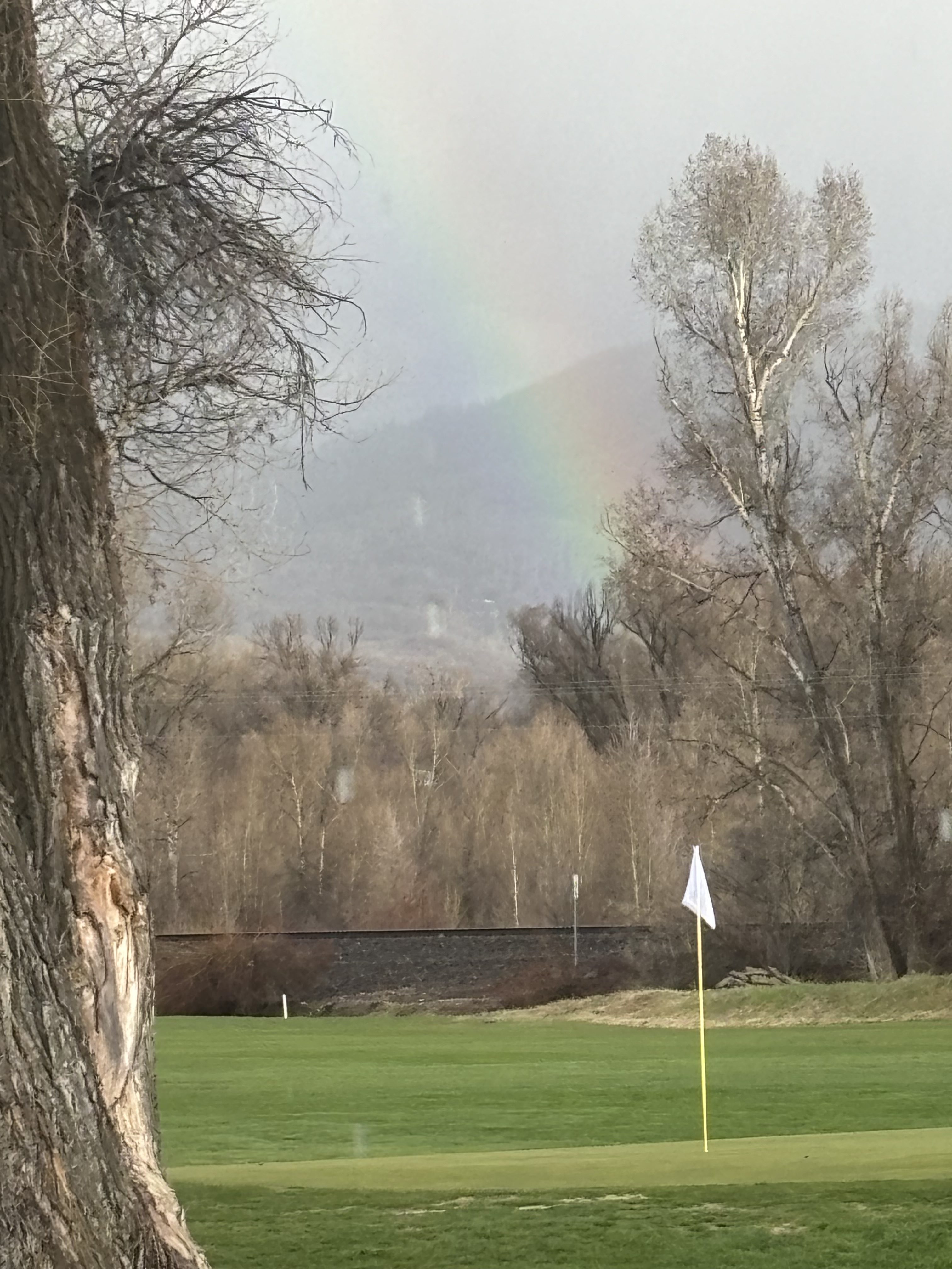 Gallery - Steamboat Golf Club